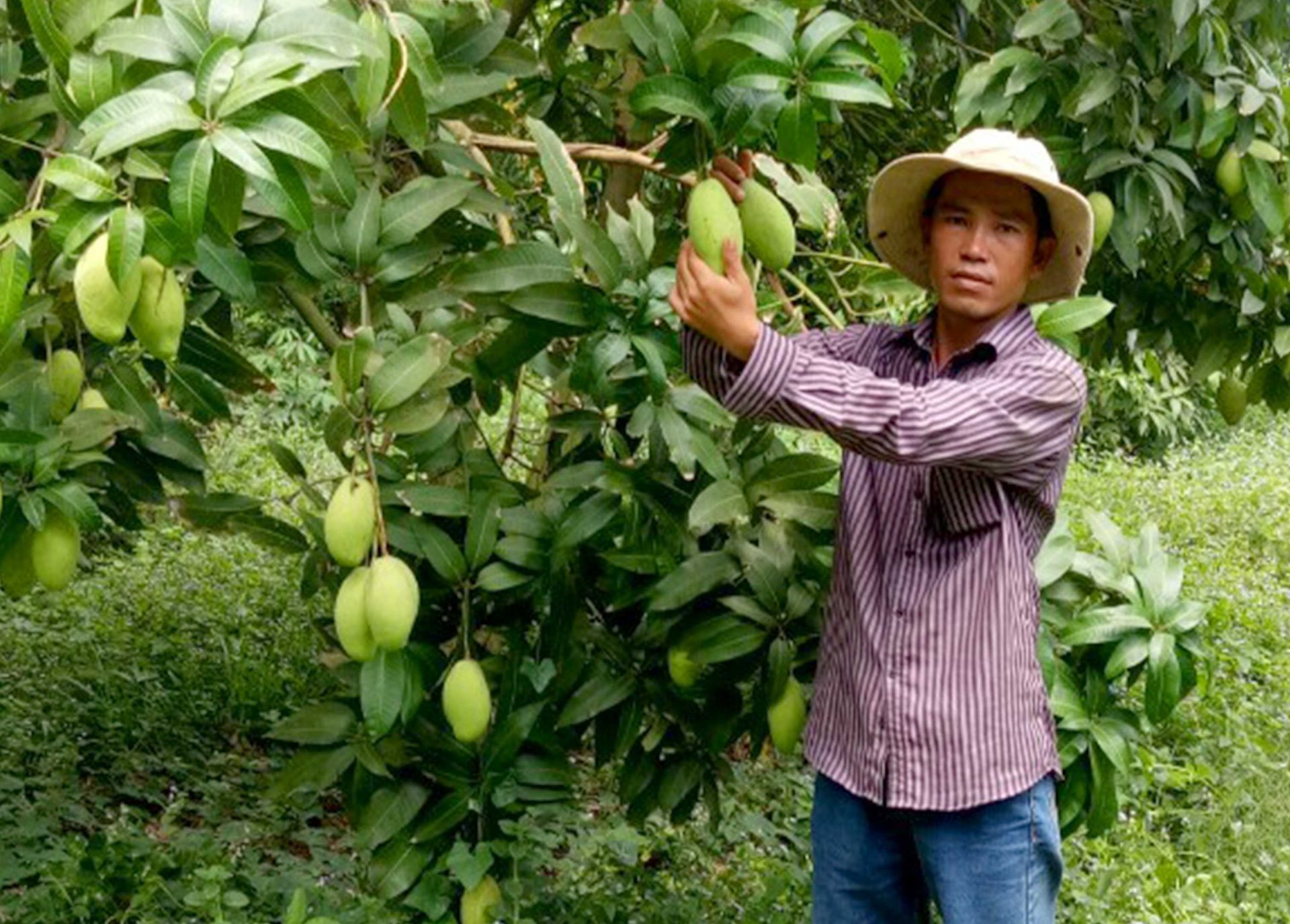 ABOUT US – Cheer Farm