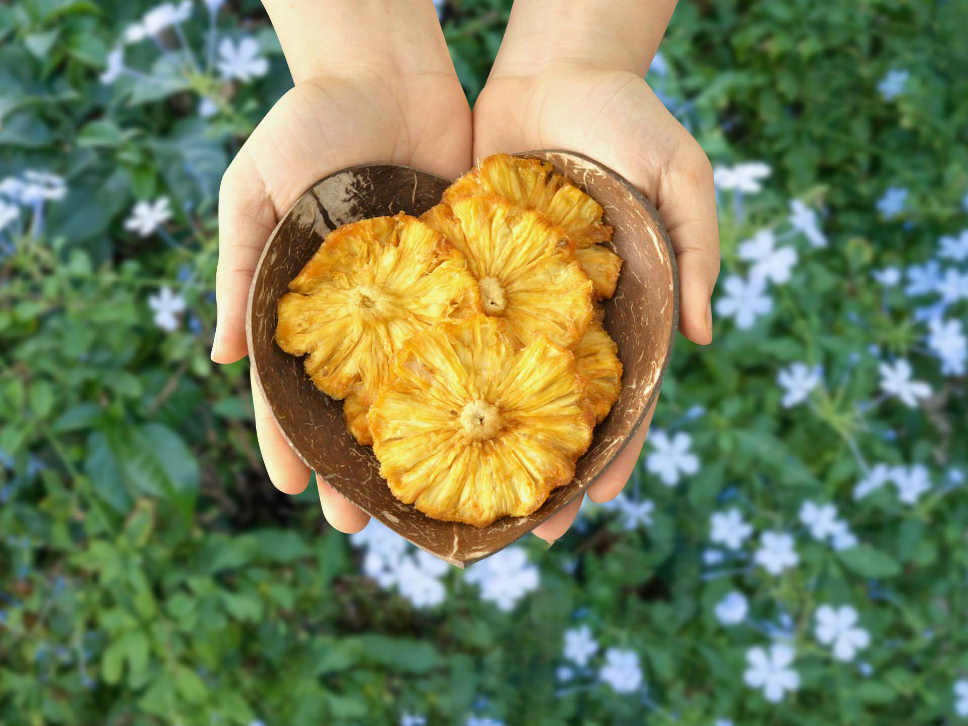 CHEER FARM – Cheer Farm