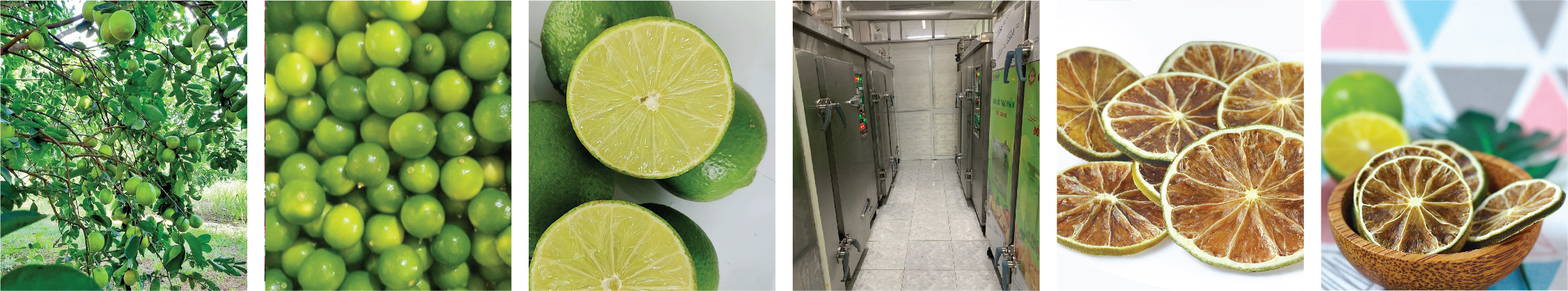 Dehydrated Lime – Cheer Farm