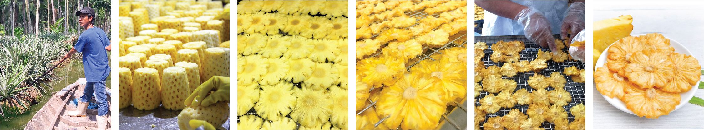 Premium Dried Pineapple Slice/ Ring – Cheer Farm