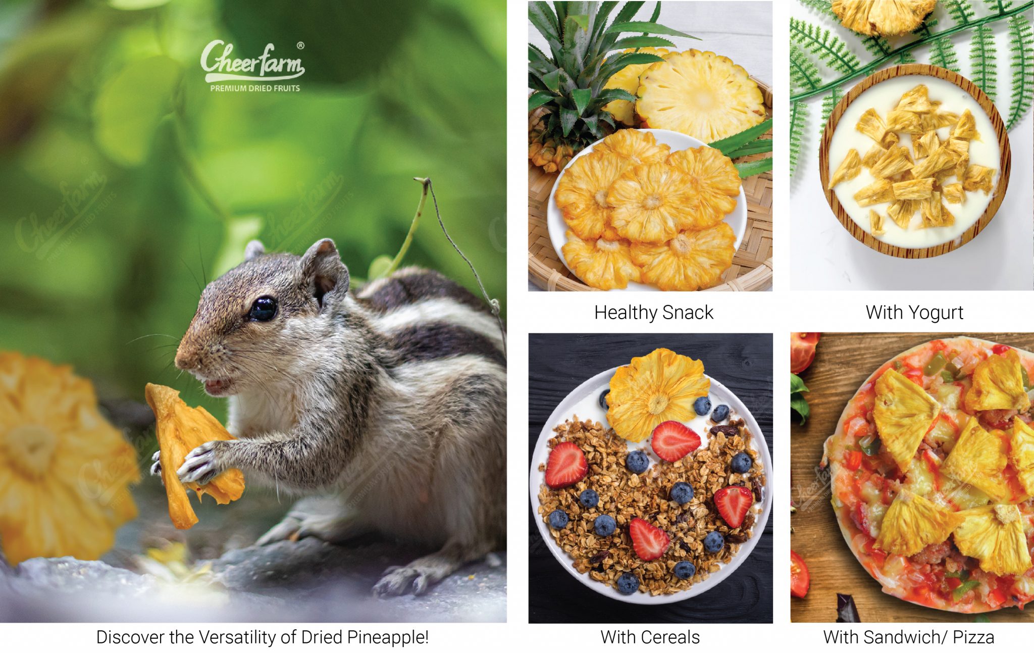 Dried Pineapple Supplier (Tidbits) - Cheer Farm